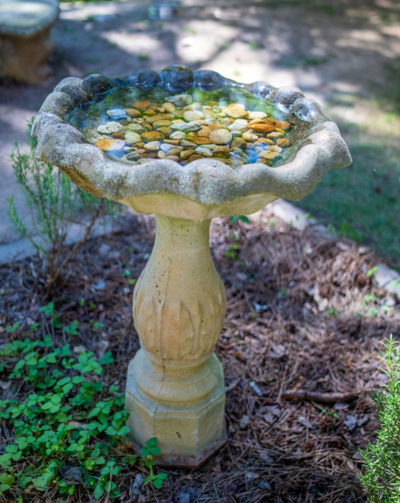 How to design your backyard: a look into my take on a southern backyard