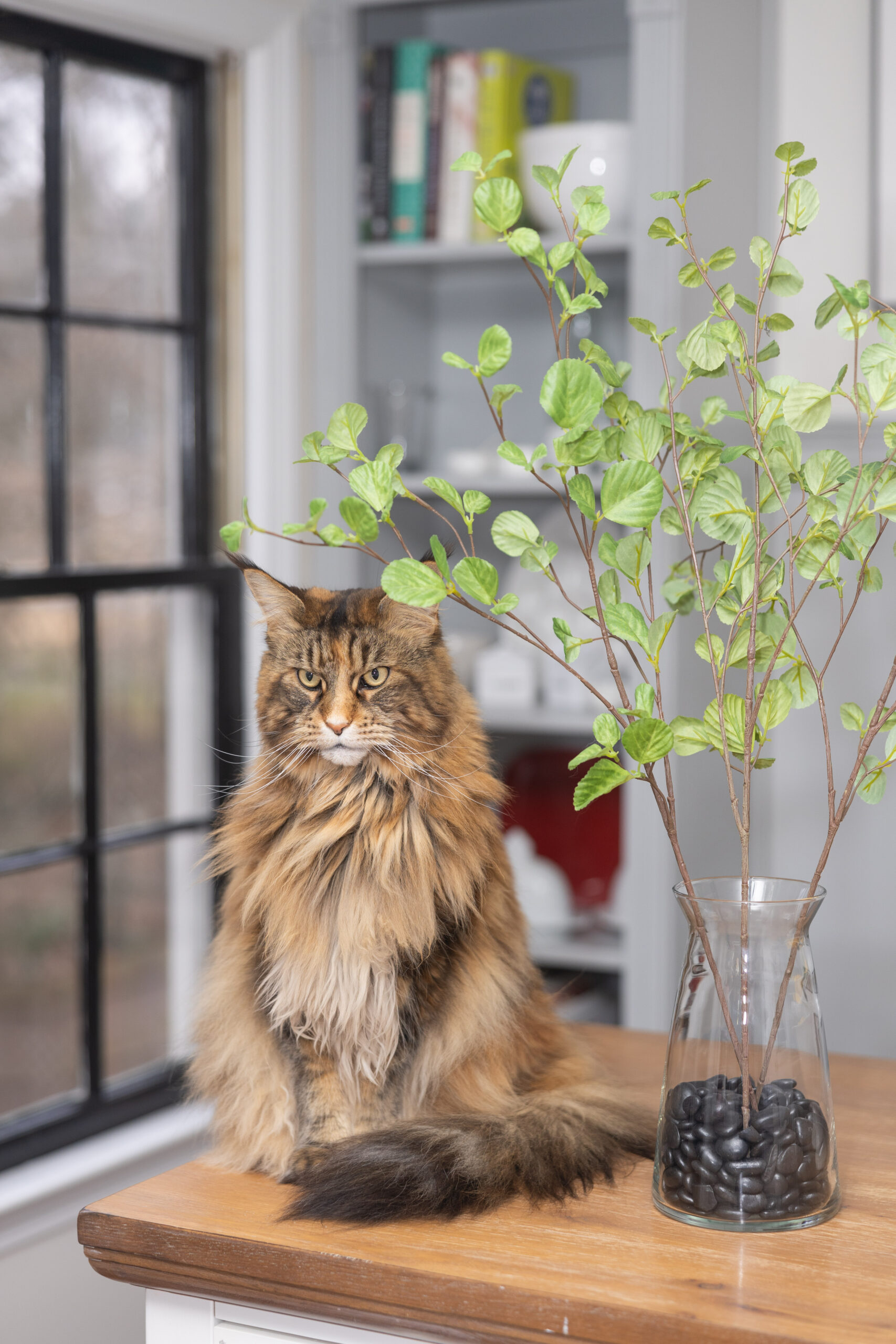 Casual Weekend Fashion: Comfortable and Chic