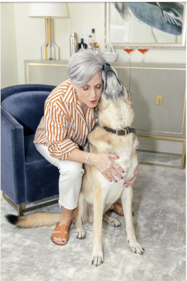 Spring Pet Care: 7 Essentials to Keep Your Pet Happy and Healthy This ...