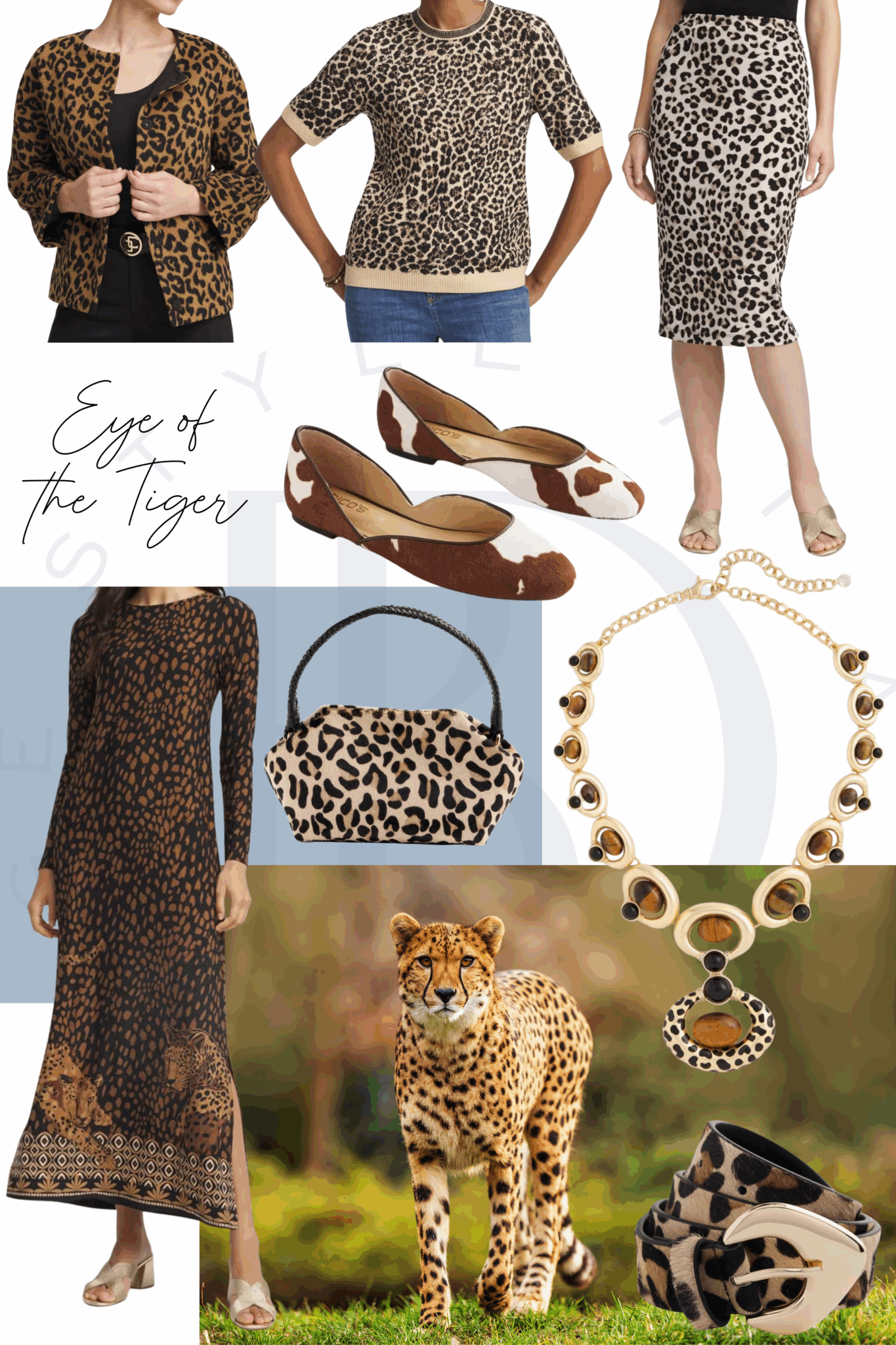 Chico’s Fall Arrivals 2025 – Animal Prints, Neutrals, and More